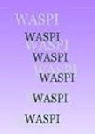 WASPI BLOW: “Leadership back-pedalling on aims” – The Slog